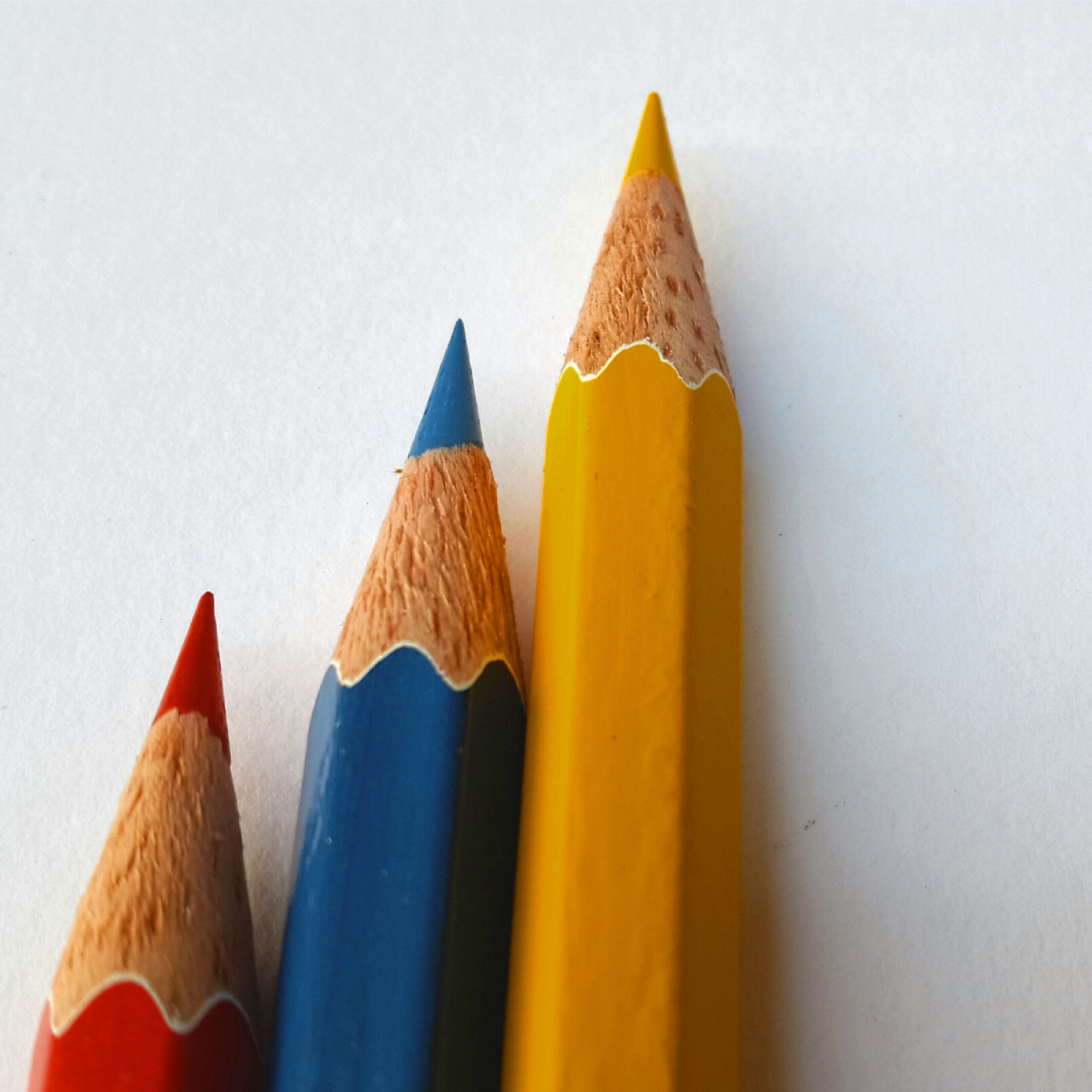 Hallman Lindsay | Color Palette: Time to Study