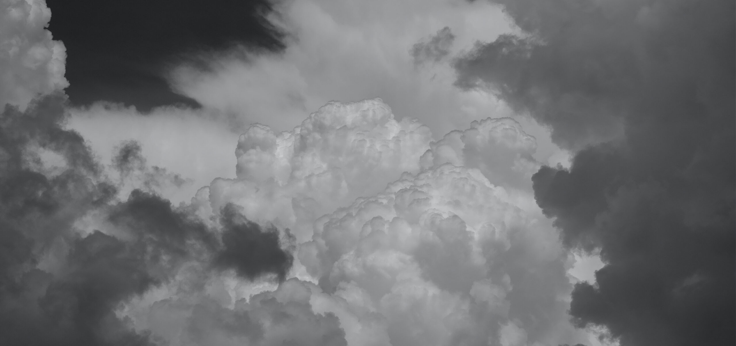 Hallman Lindsay | Color Palette: Grayscale