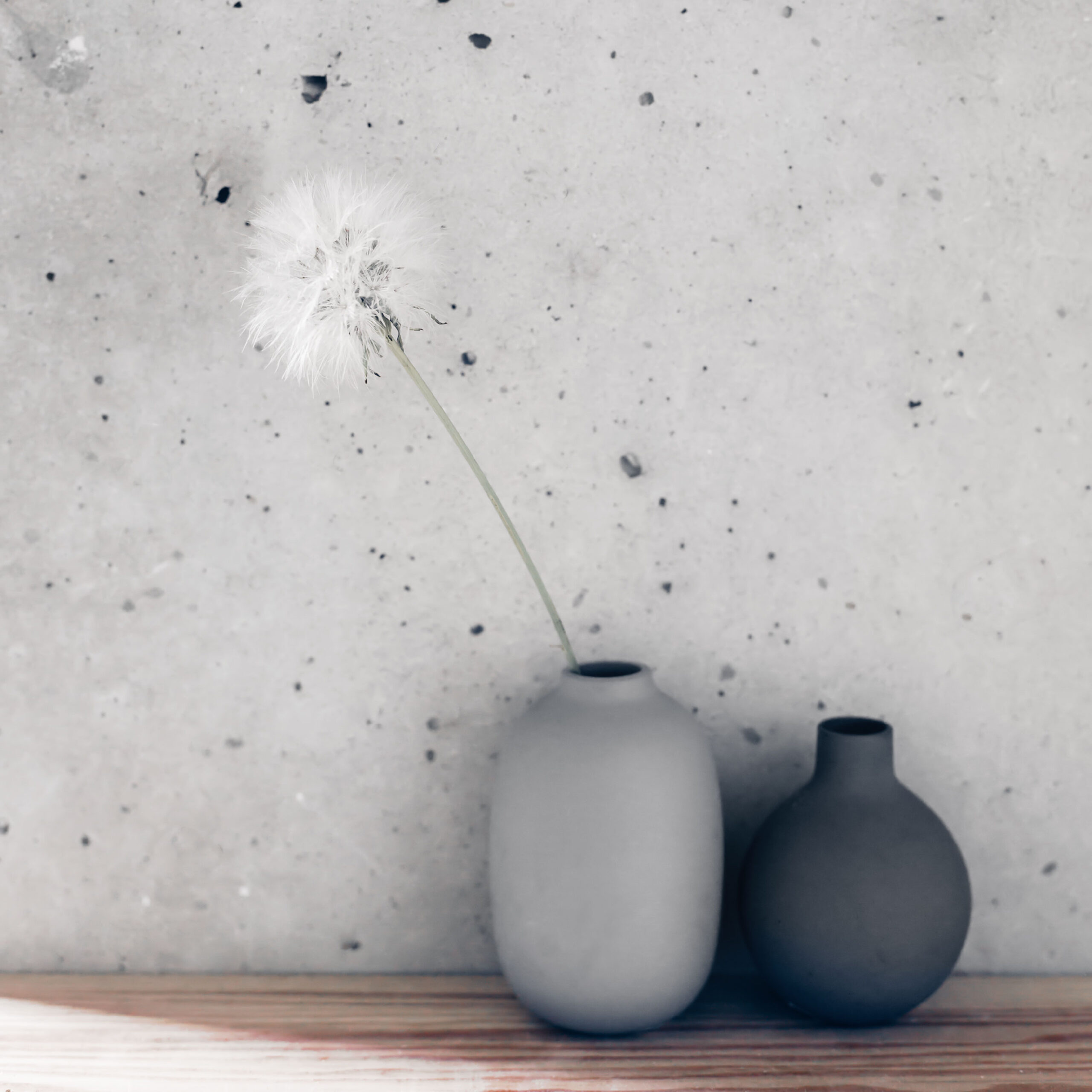Hallman Lindsay | Color Palette: Grayscale