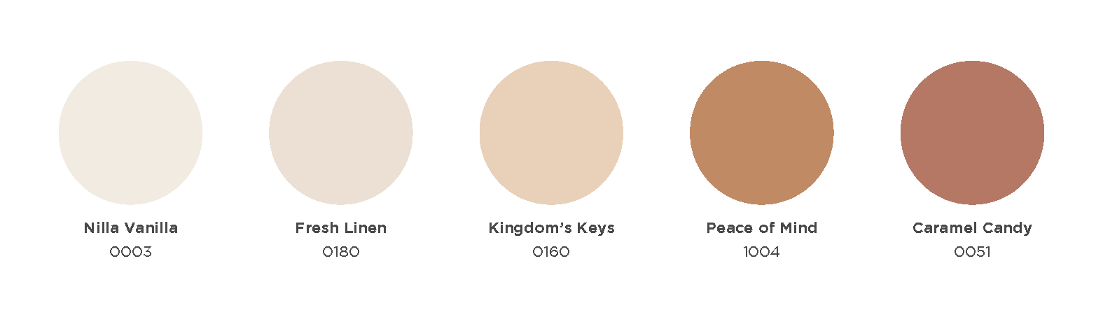 Hallman Lindsay | Color Palette: First Light